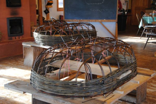 Willowglen Nursery | Expect Something Special | Decorah, Iowa